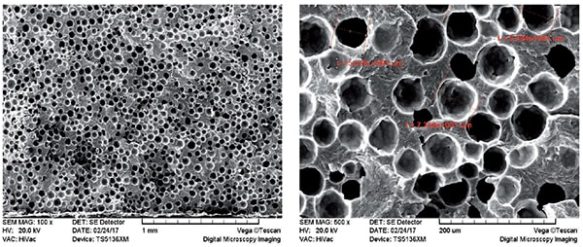 Foam Microcellular Molding Process | Negri Bossi